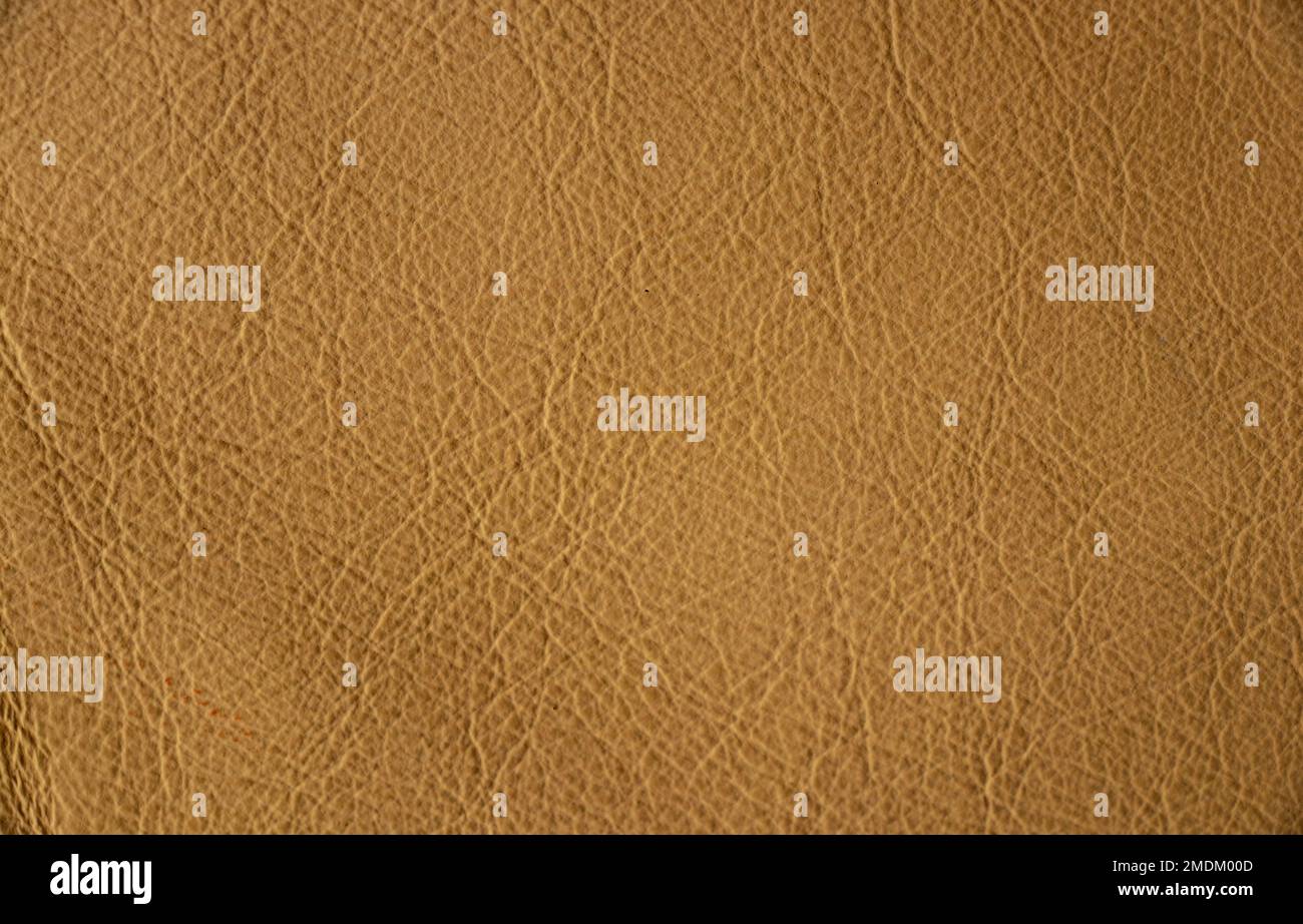 light beige background from genuine leather, solid beige background ...
