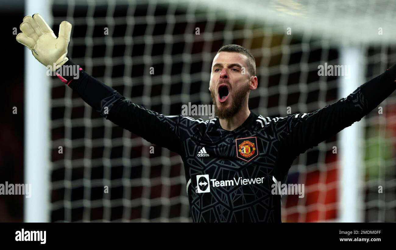 Manchester United's goalkeeper David de Gea reacts during the English ...