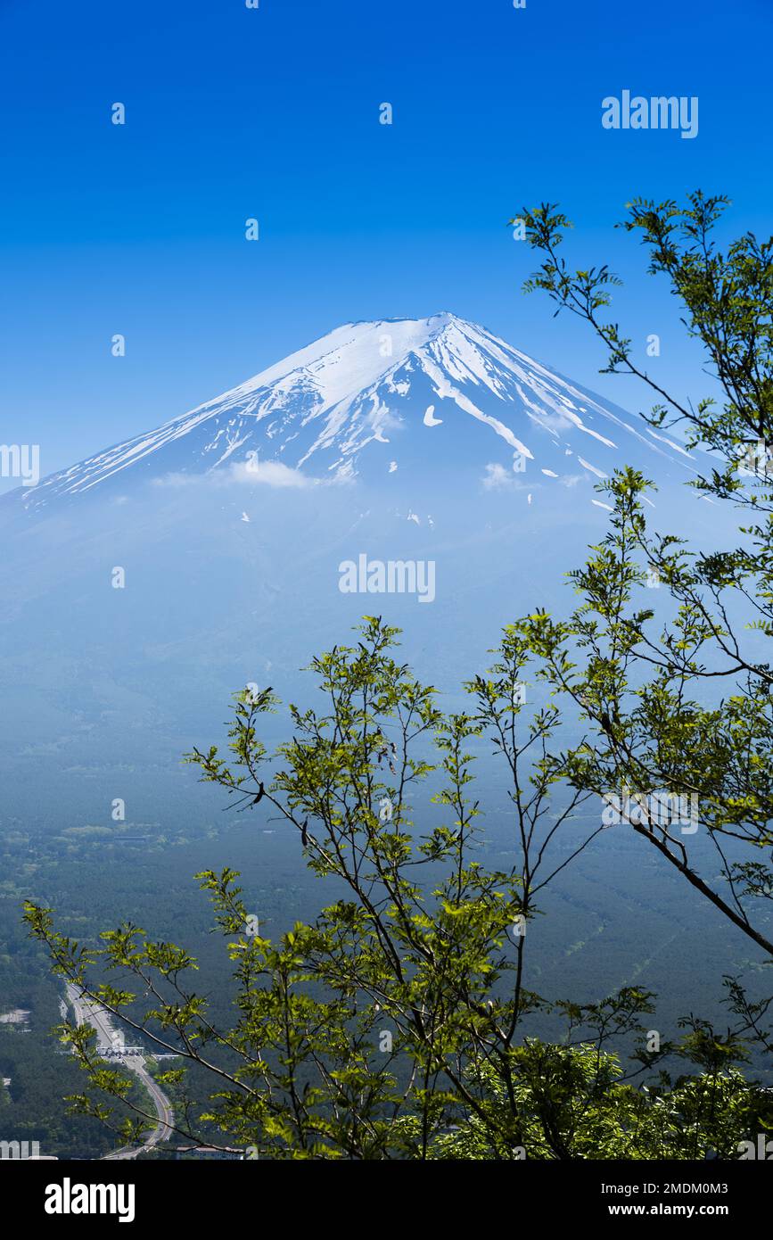 Mount Fuji mountain, Japan snow capped with clear blue sky Stock Photo ...