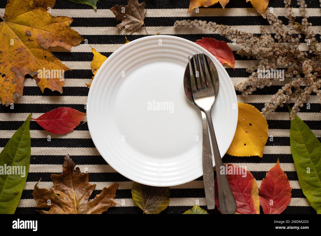 Dinner plate stands on a striped black and white background in autumn ...