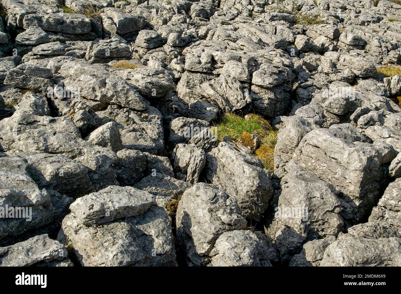 Karst limestone pavement with clints and grykes at Kingsdale, near ...