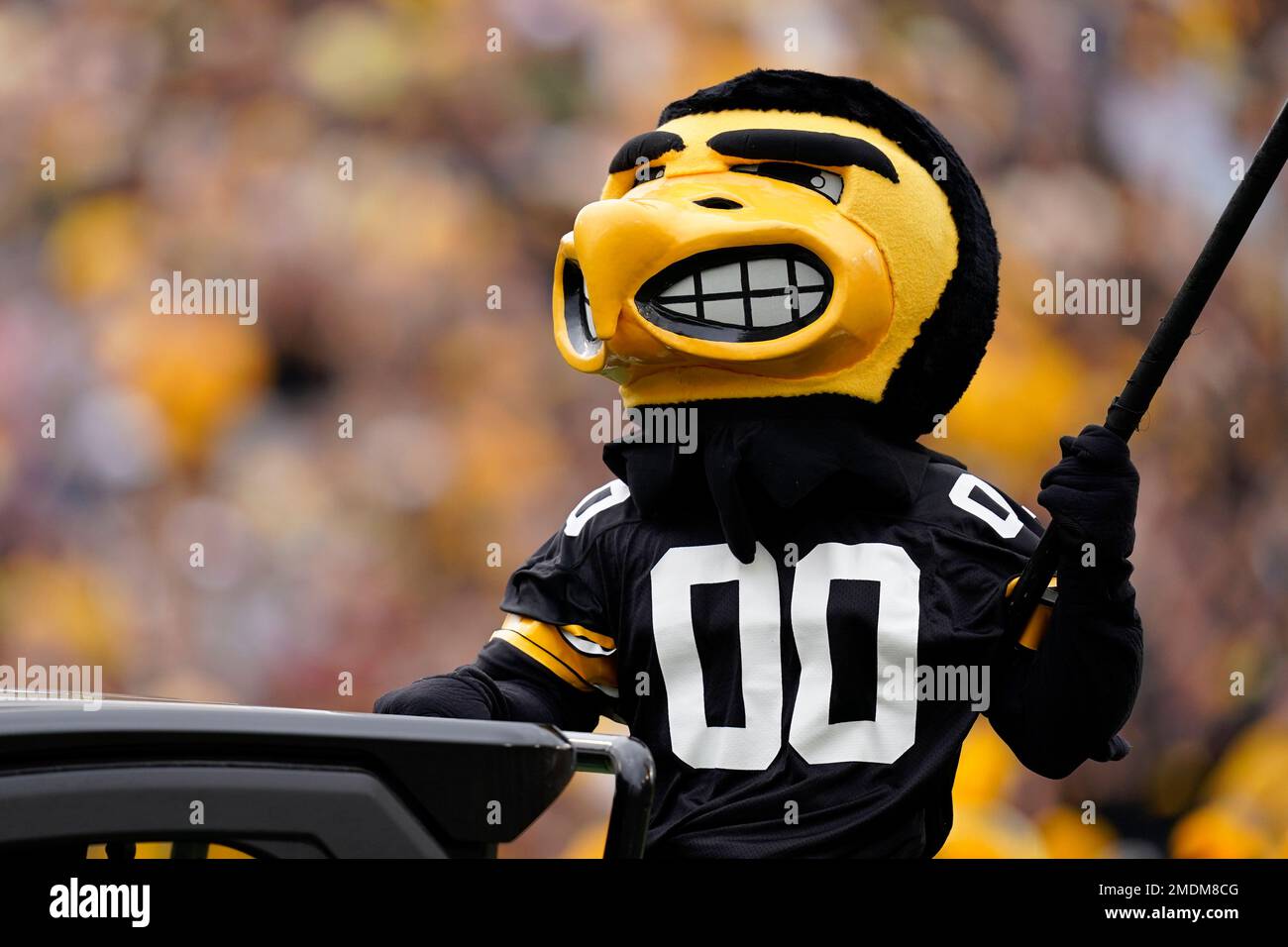 Iowa Hawkeyes Herky Logo