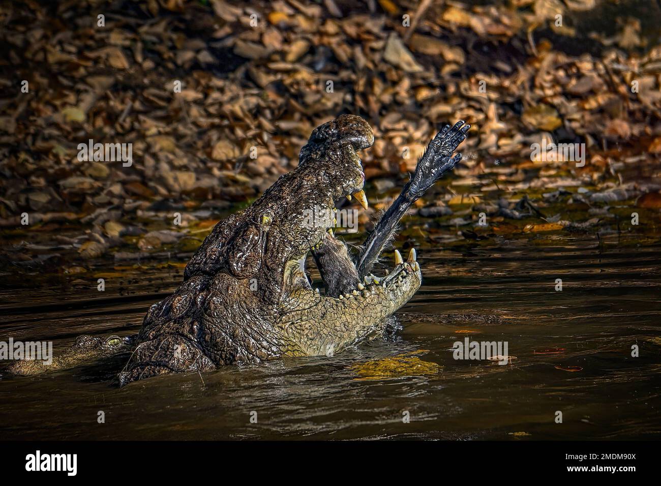 Waving goodbye. India: THESE TRAGIC images show the last goodbye of a ...