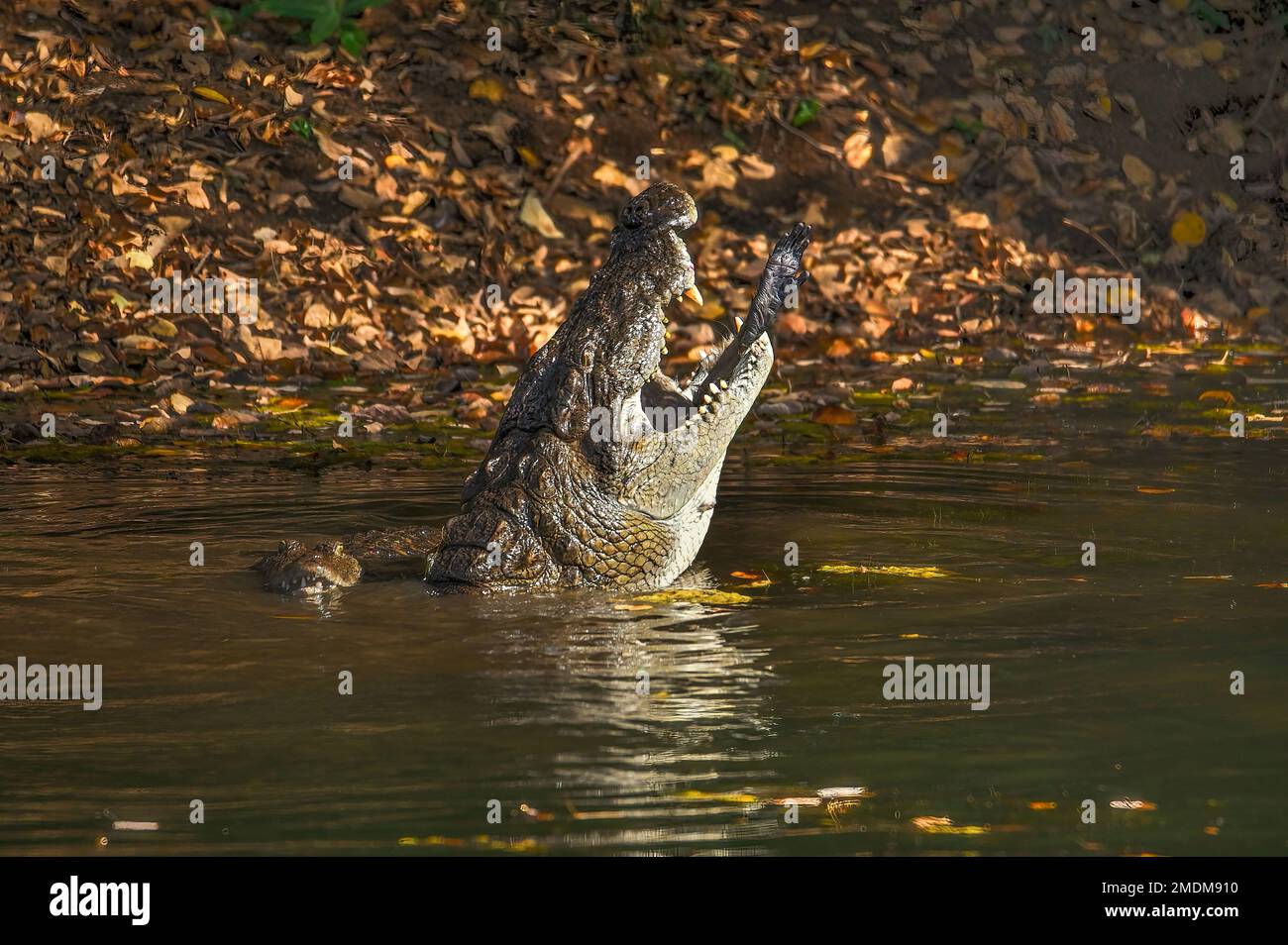 A final goodbye. India: THESE TRAGIC images show the last goodbye of a ...