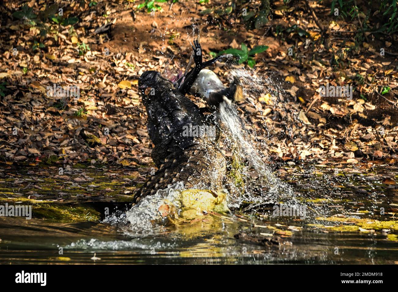 A violent struggle. India: THESE TRAGIC images show the last goodbye of ...
