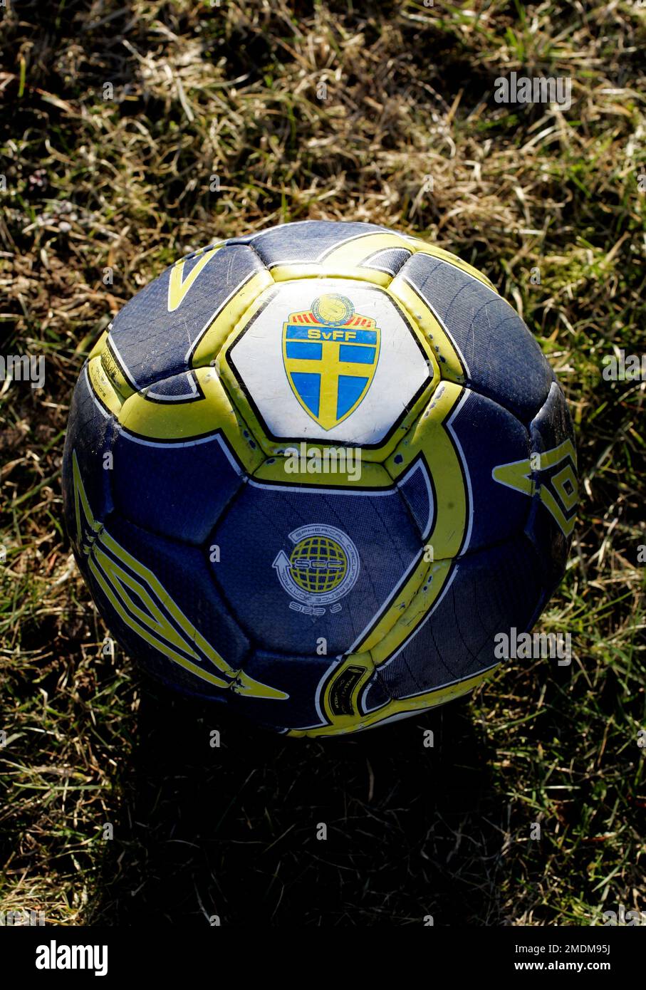 Svff logotyp hi-res stock photography and images - Alamy