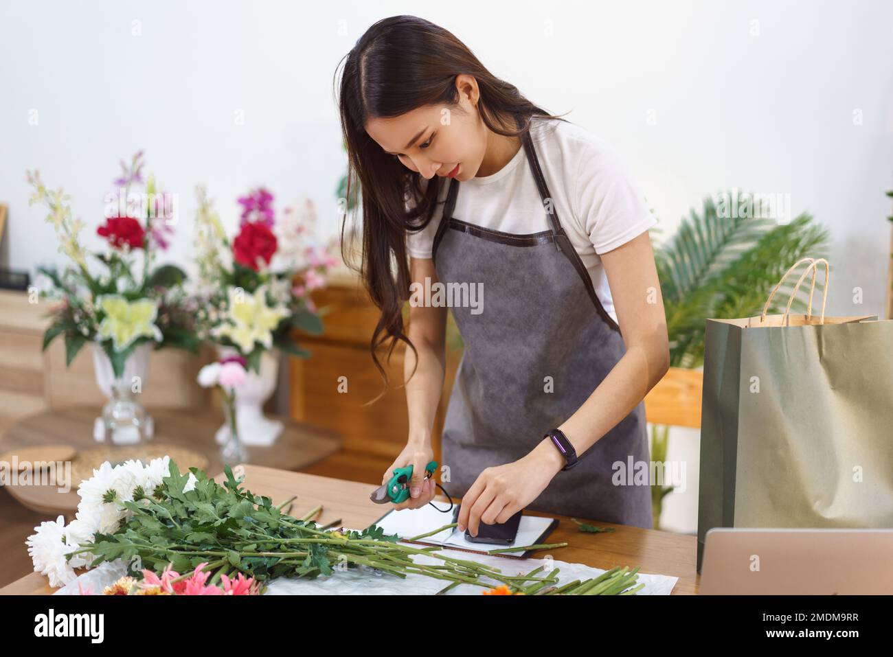 Flower shop concept, Female florist cut chrysanthemum stems with ...