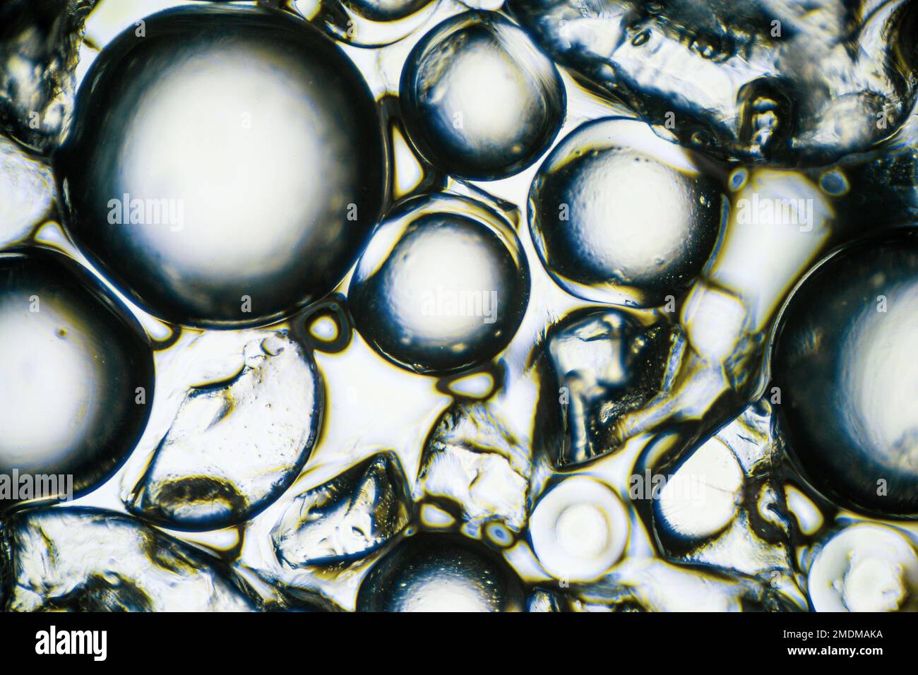 Silica gel for moisture control, absorbent particles under a light ...