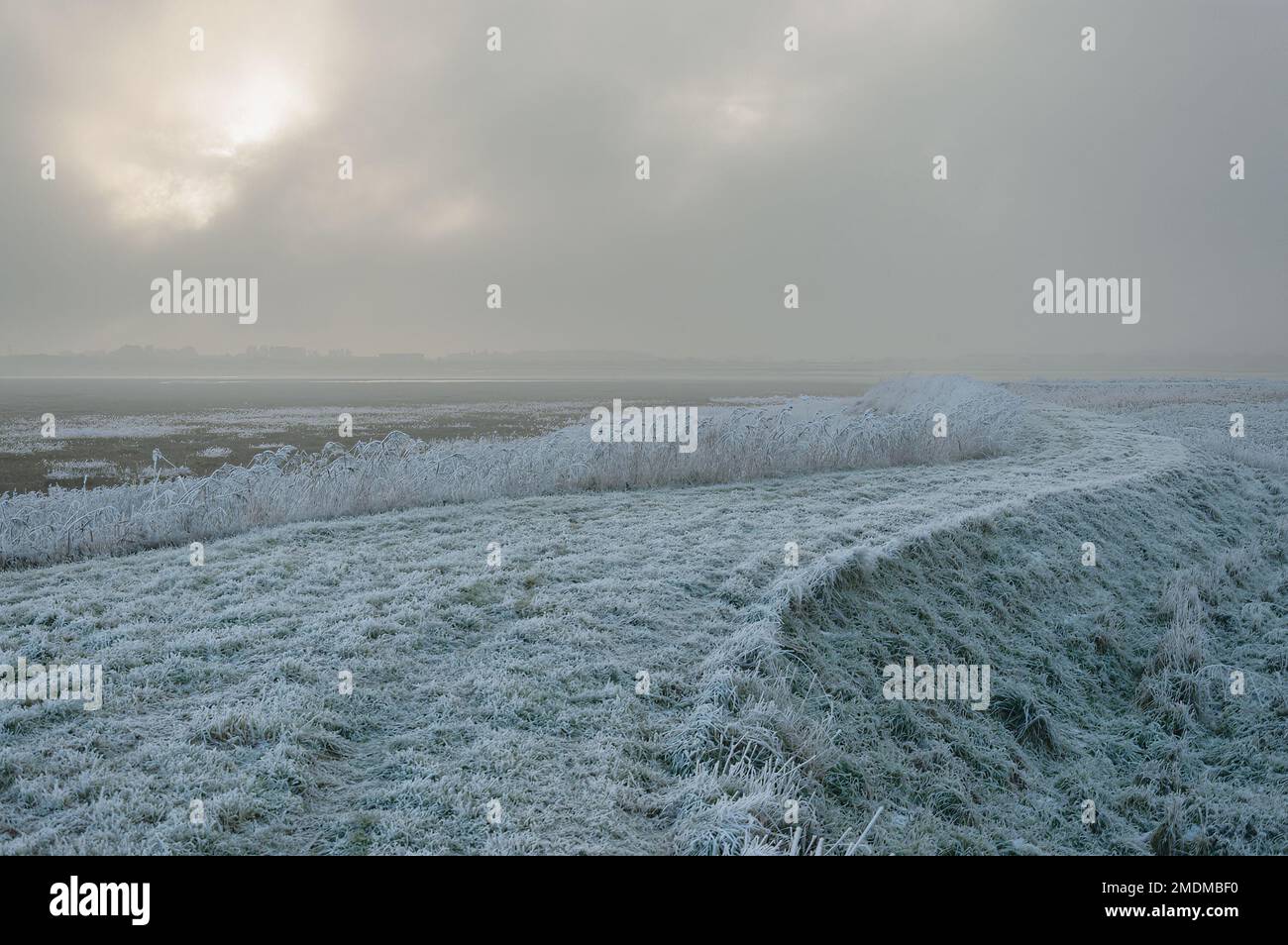 Freezing fog clearing from along The River Wyre in Lancashire Stock ...