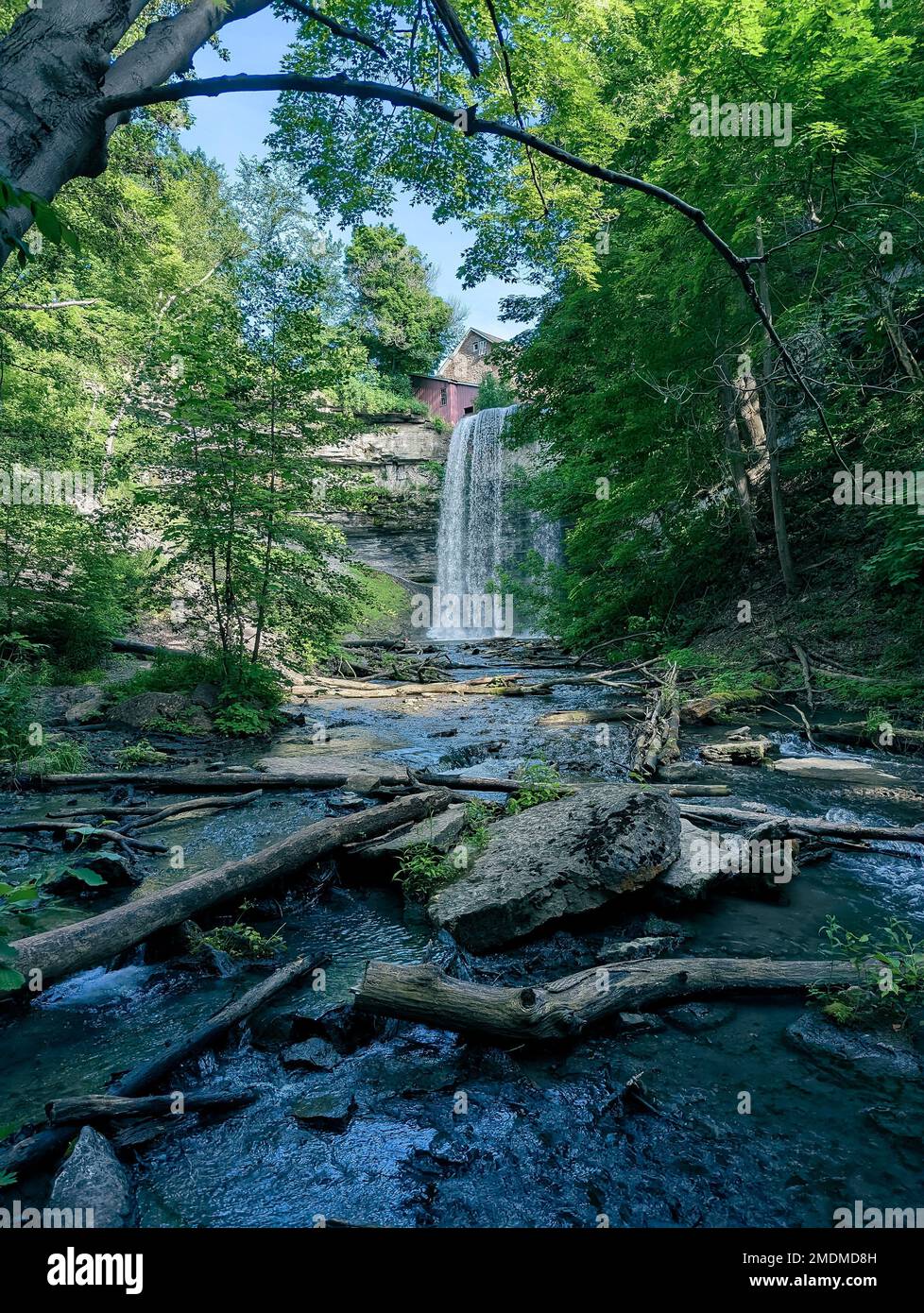 A landscape of waterfall falling on rocks and small river with trees in ...