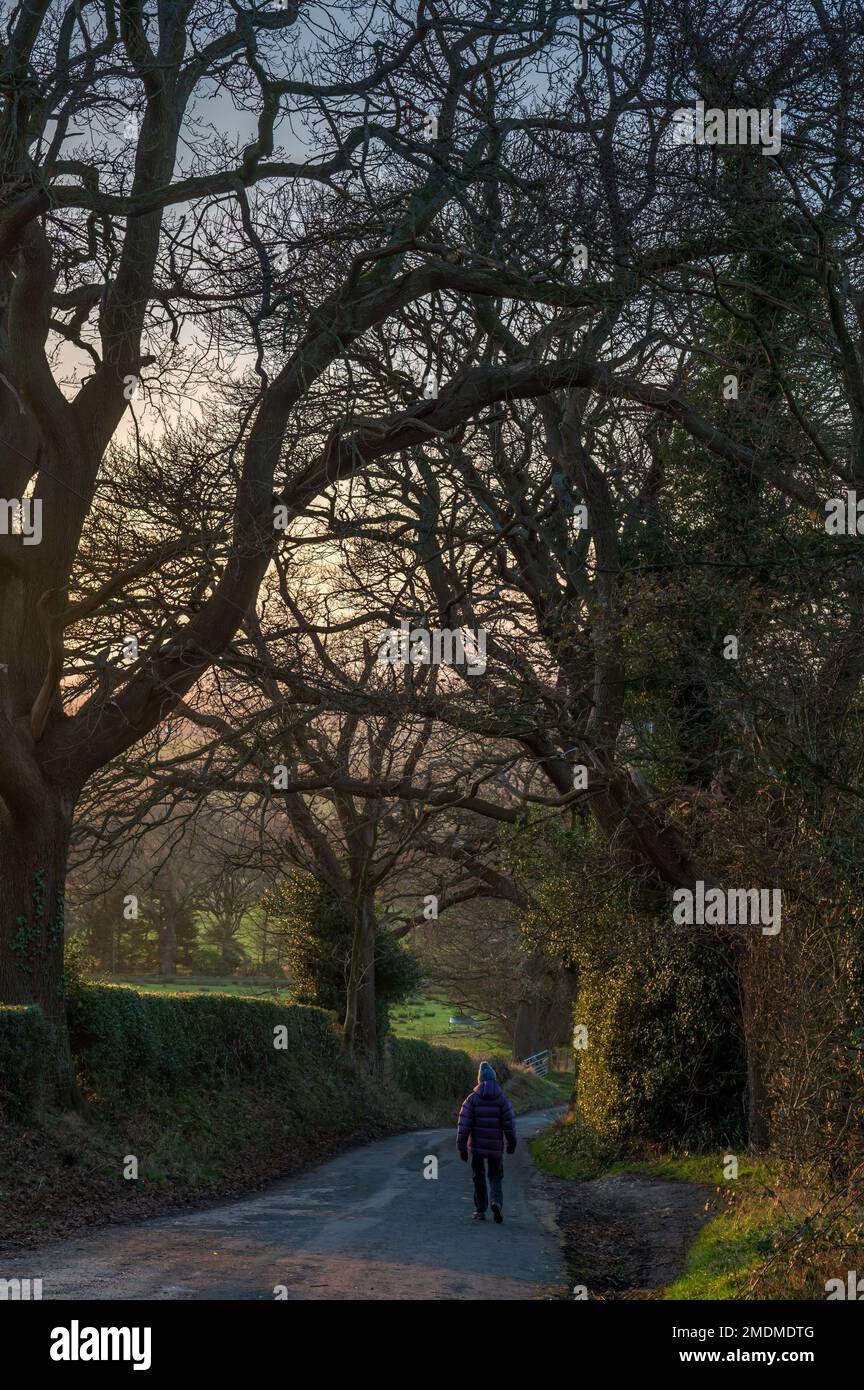 Tithe barn lane hi-res stock photography and images - Alamy