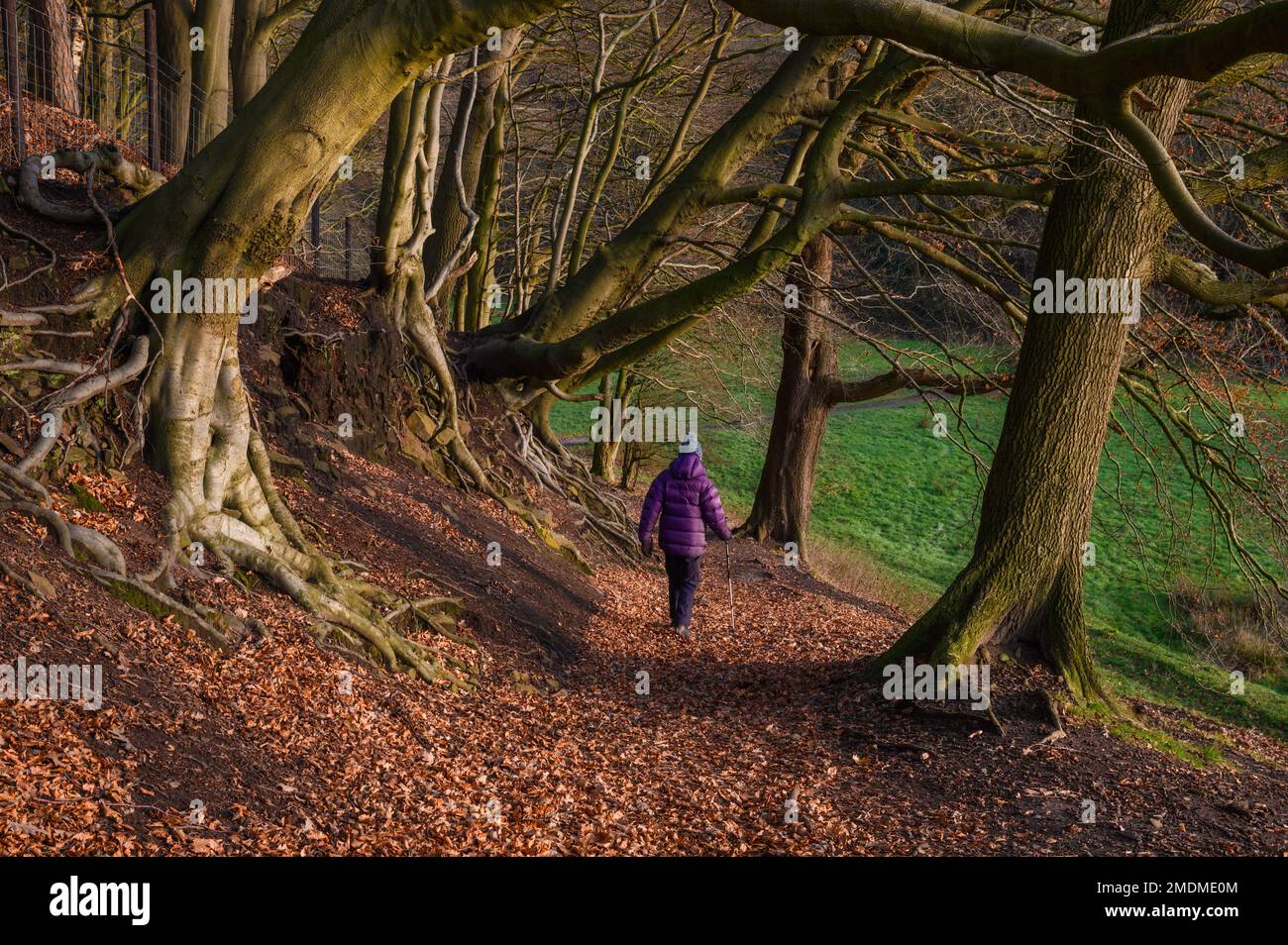 Nicky walker hi-res stock photography and images - Alamy