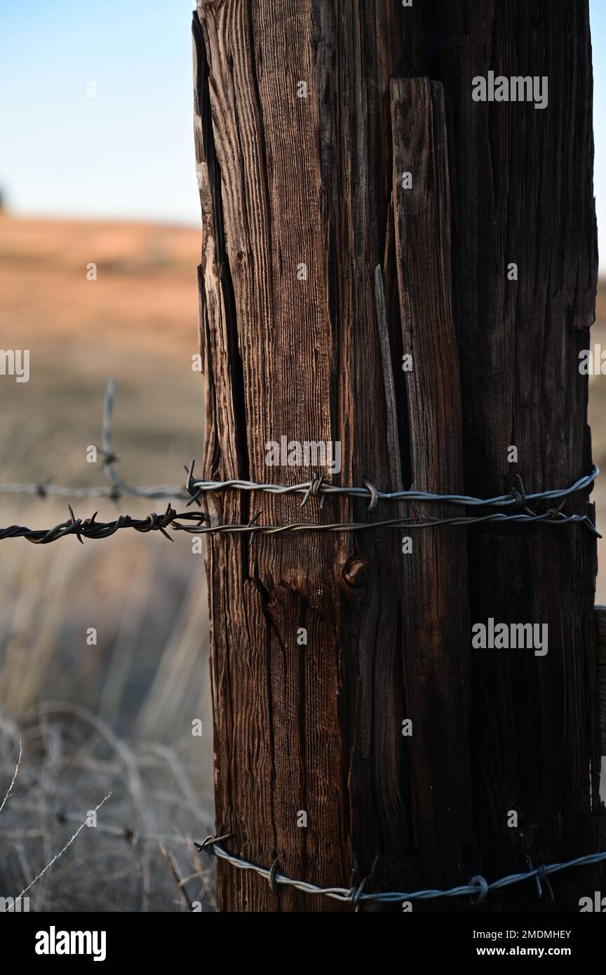 Barbed wire around old, weathered fence post in a field Stock Photo - Alamy