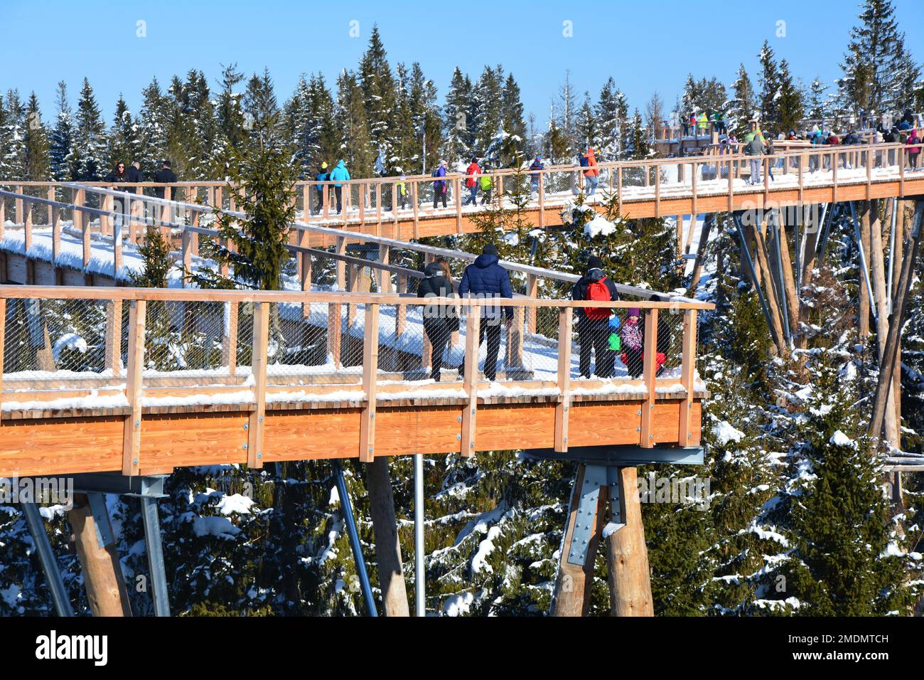 The treetop walk Bachledka in Bachledova valley in Slovakia. Scenic ...