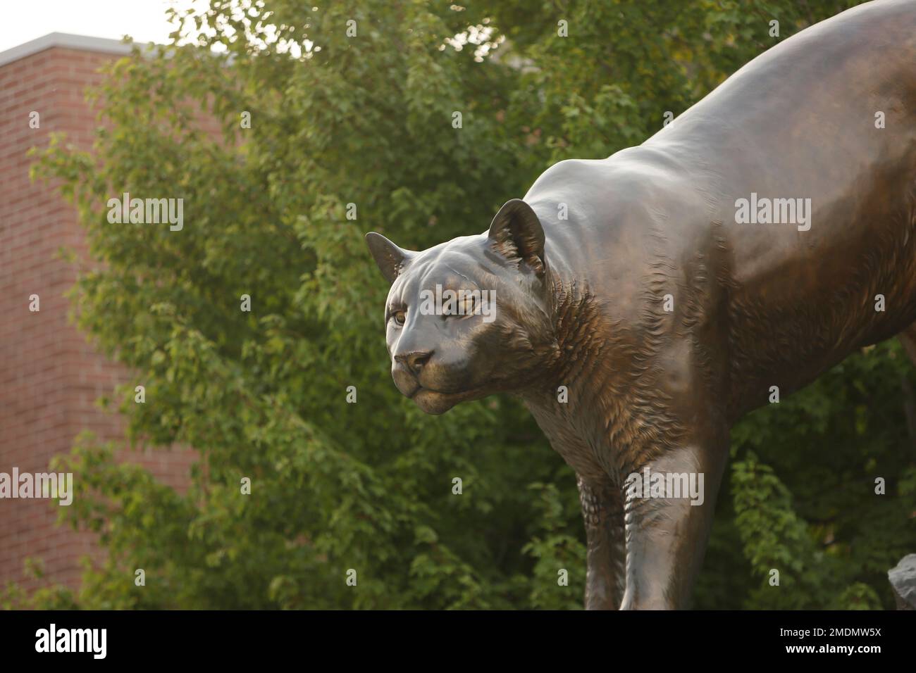 The "Cougar Pride" statue outside Martin Stadium is photographed before ...