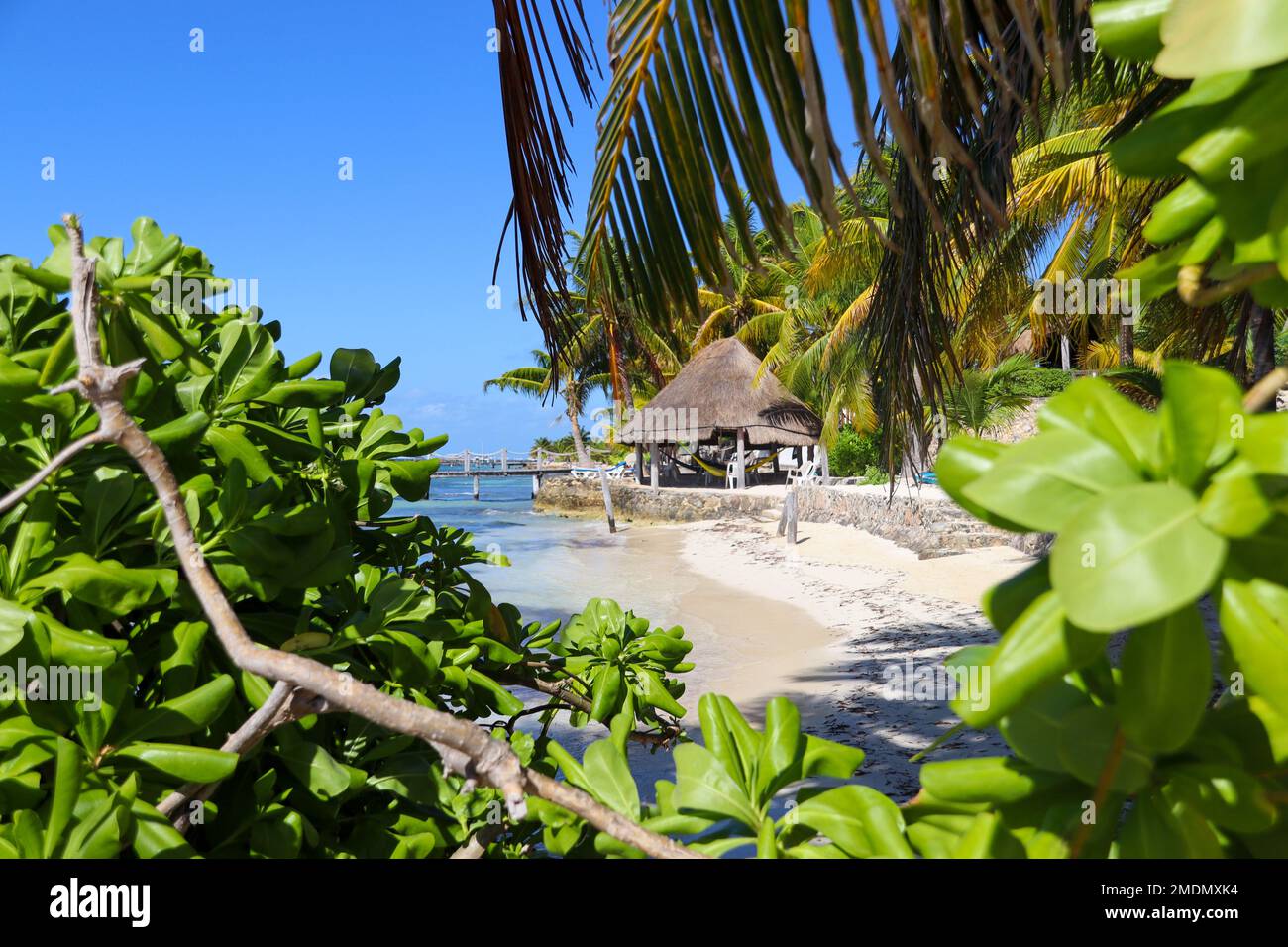 Beautiful Impressions of Yucatan in Mexico Stock Photo - Alamy