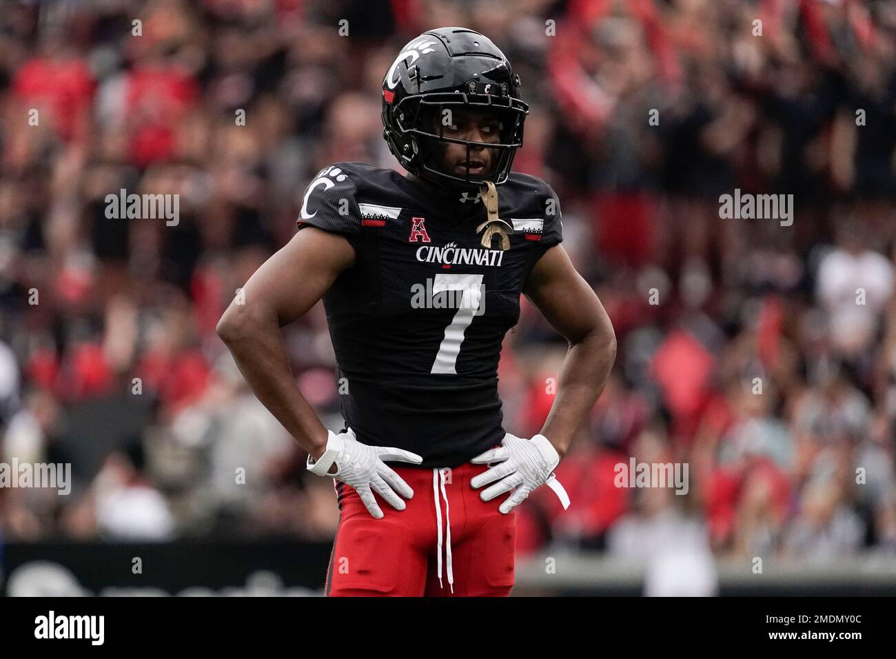Cincinnati cornerback Coby Bryant (7) plays during the second half of ...