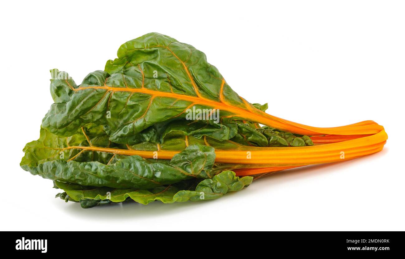 Fresh swiss chard isolated on white background Stock Photo - Alamy