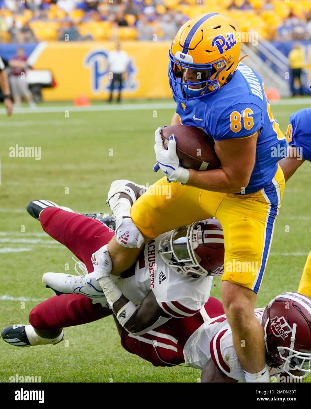 Pittsburgh tight end Gavin Bartholomew (86) drags Massachusetts ...