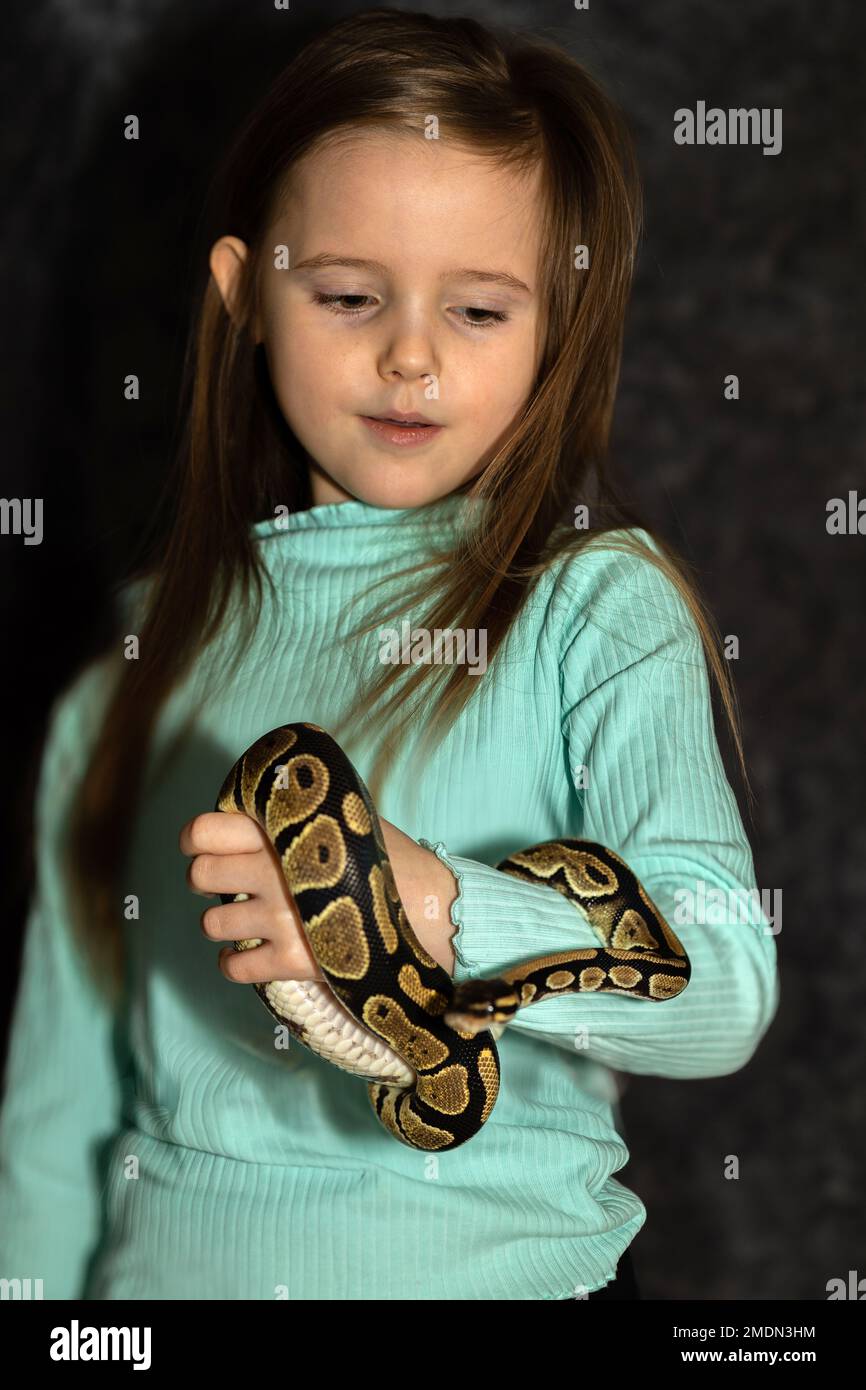 Portrait of smiling girl in green holding snake on dark background ...