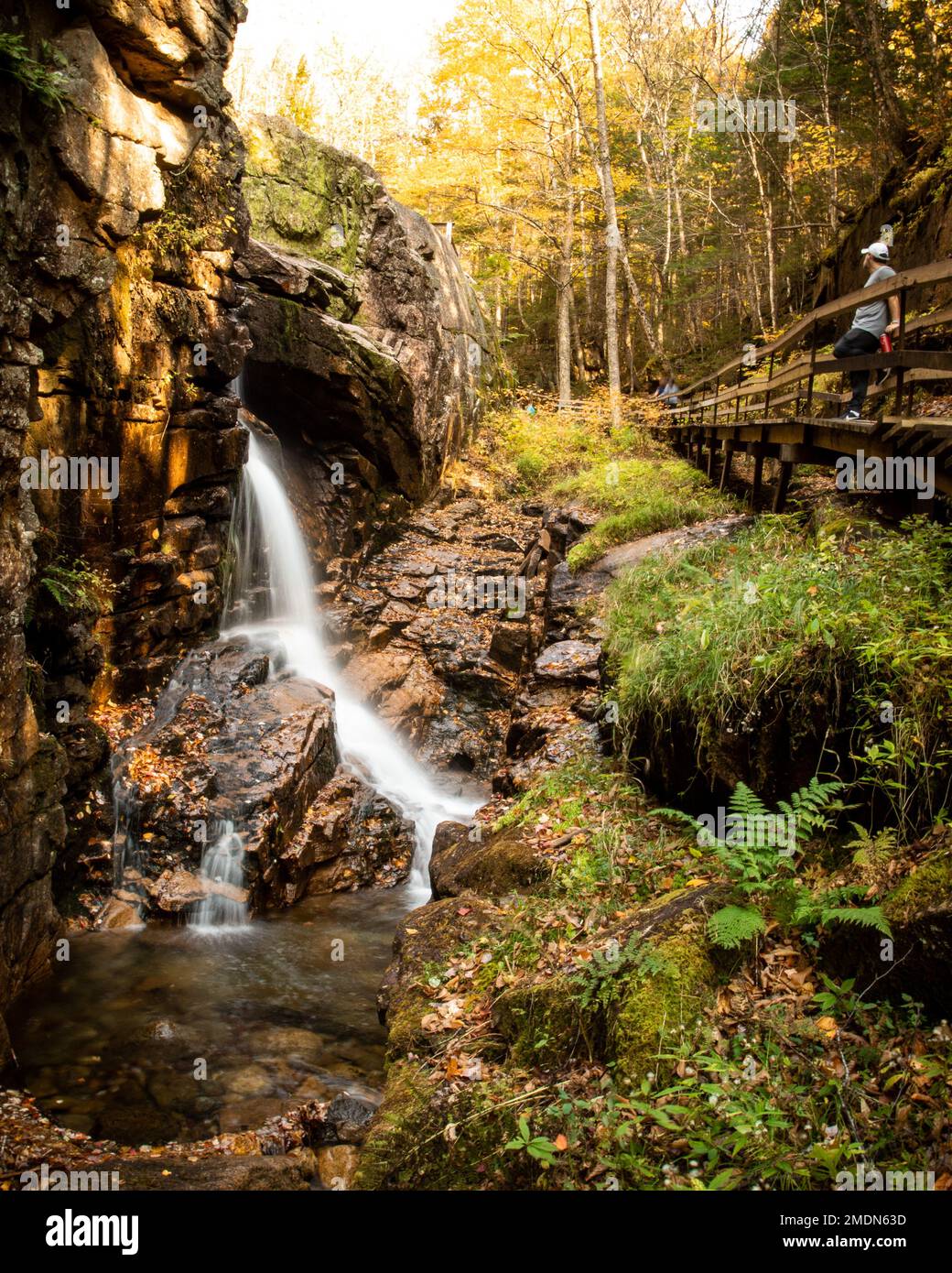 A beautiful shot of Flume Gorge Trail with waterfall and wooden bridge ...