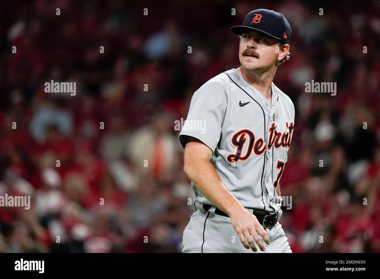 Detroit Tigers starting pitcher Tyler Alexander (70) plays during a ...