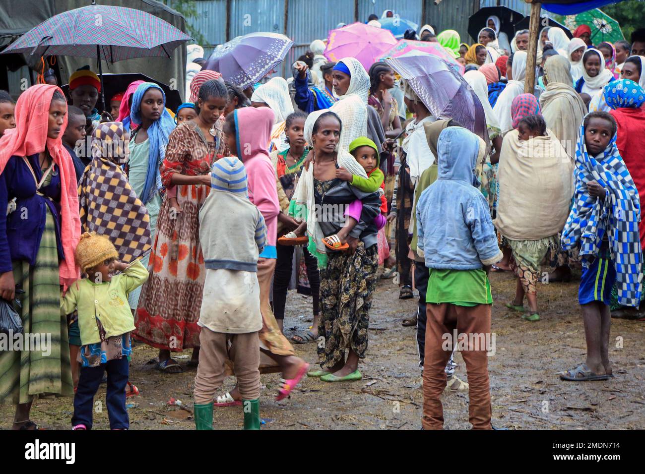 Displaced Amharas from different villages now controlled by Tigrayan ...