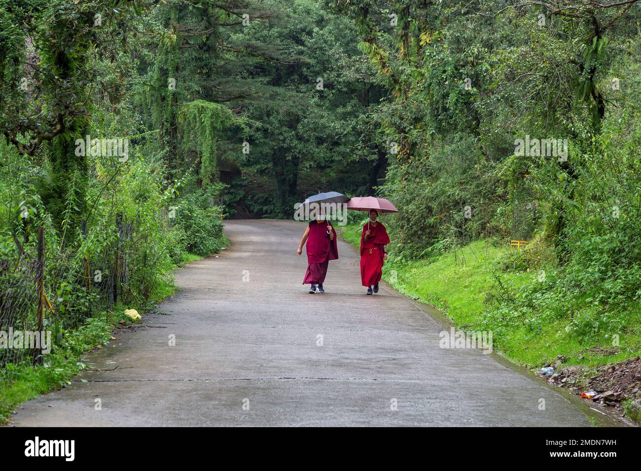 Do Monks Shower Together at Lloyd Sutton blog