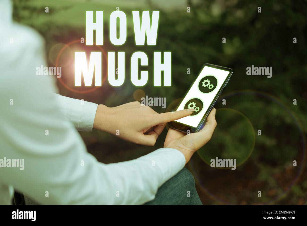 Text showing inspiration How Much. Business overview ask about the ...