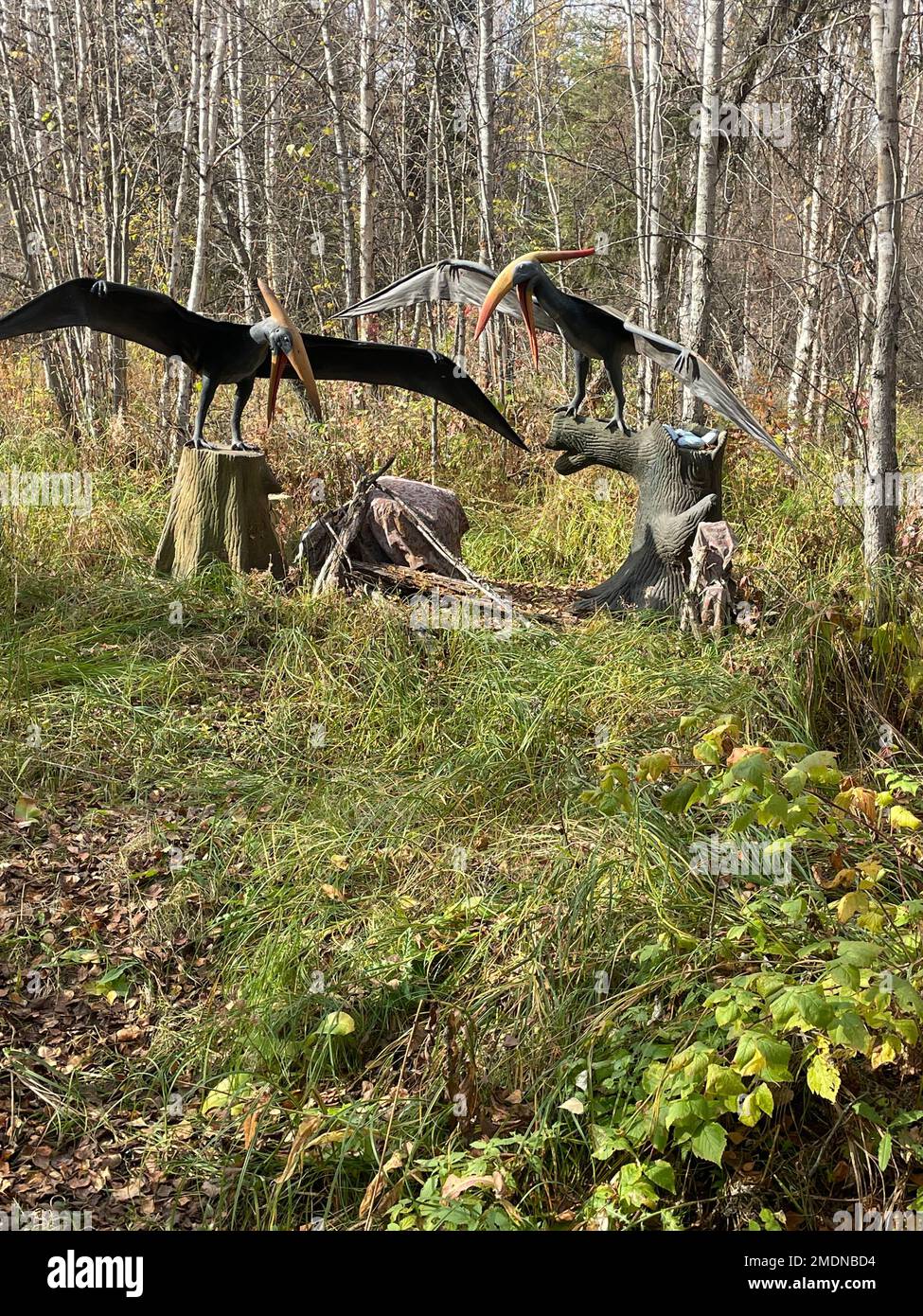 A giant bird figurine in the forest Stock Photo - Alamy