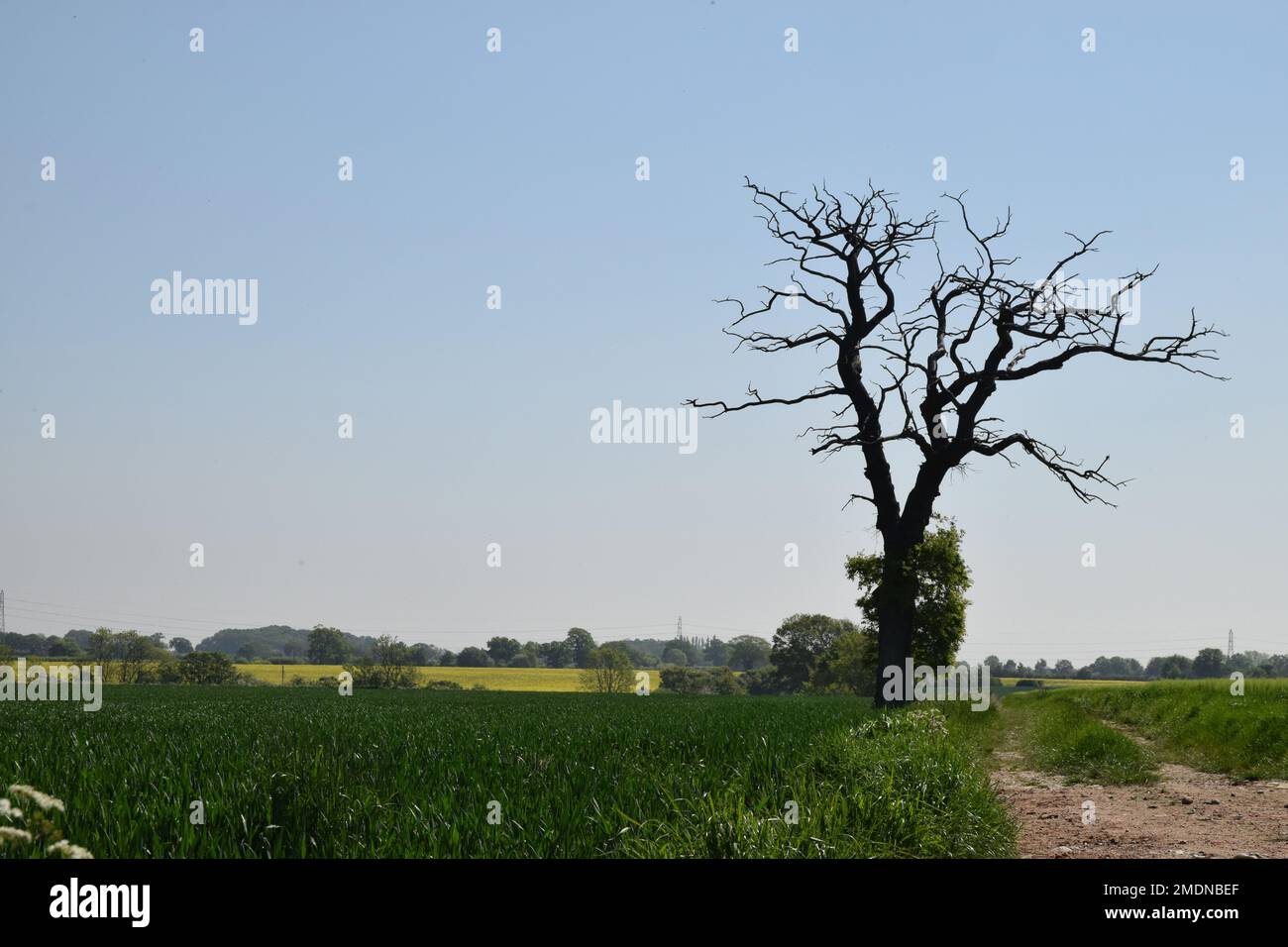 Suffolk farming landscape scenery hi-res stock photography and images ...