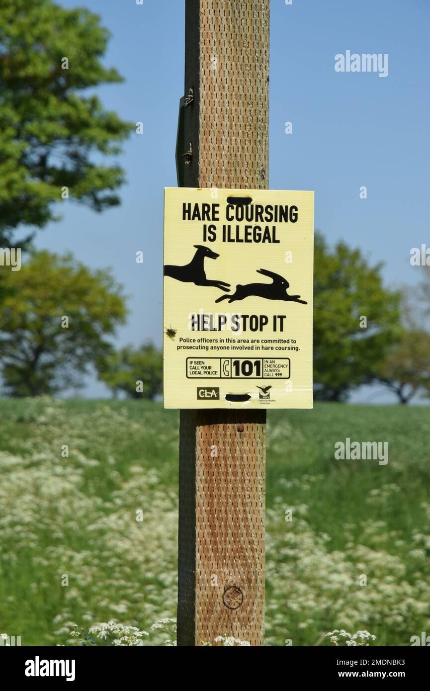 anti hare coursing notice Stock Photo - Alamy