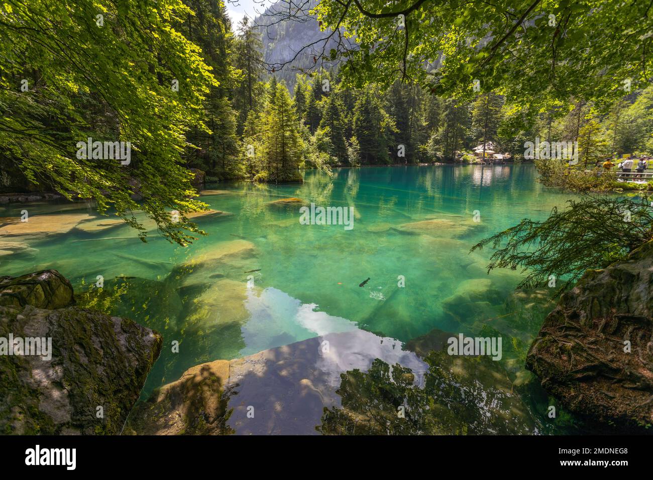 View of Blausee (The Blue lake) in Bernese Oberland, famous tourist ...