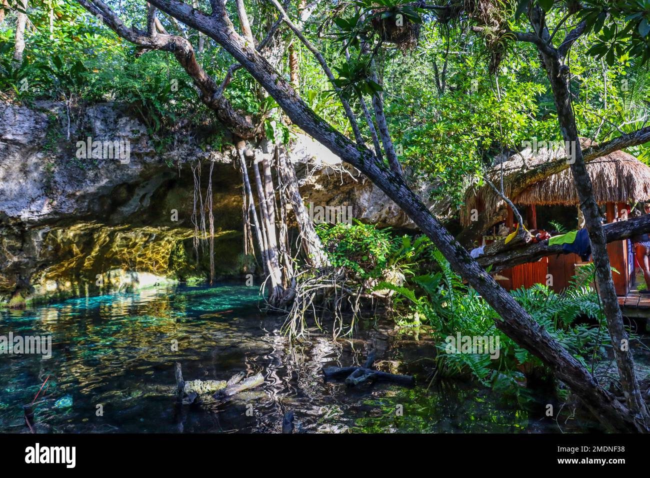 Beautiful Impressions of Yucatan in Mexico Stock Photo - Alamy