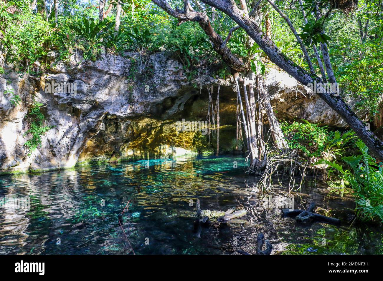 Beautiful Impressions of Yucatan in Mexico Stock Photo - Alamy