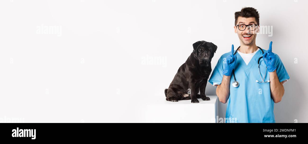 Handsome young doctor at vet clinic pointing finger up and smiling ...