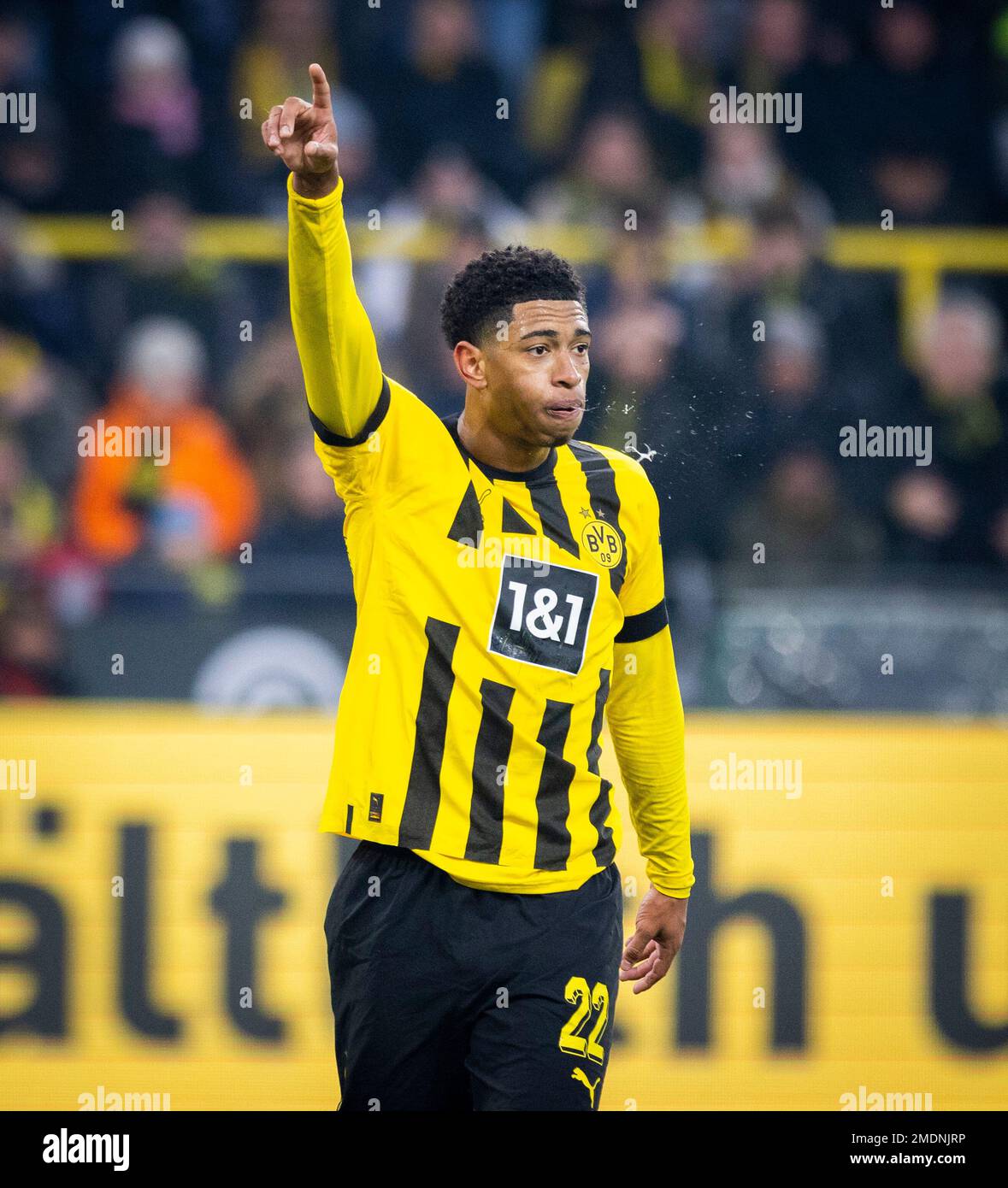 Dortmund, Germany. 22nd Jan, 2023. Jude Bellingham (BVB) Borussia ...