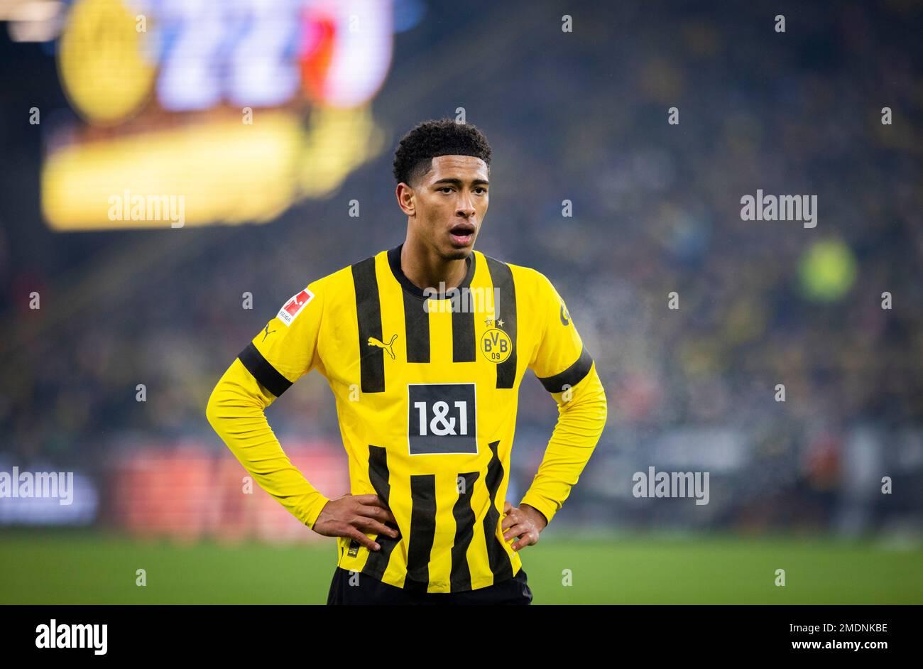 Dortmund, Germany. 22nd Jan, 2023. Jude Bellingham (BVB) Borussia ...