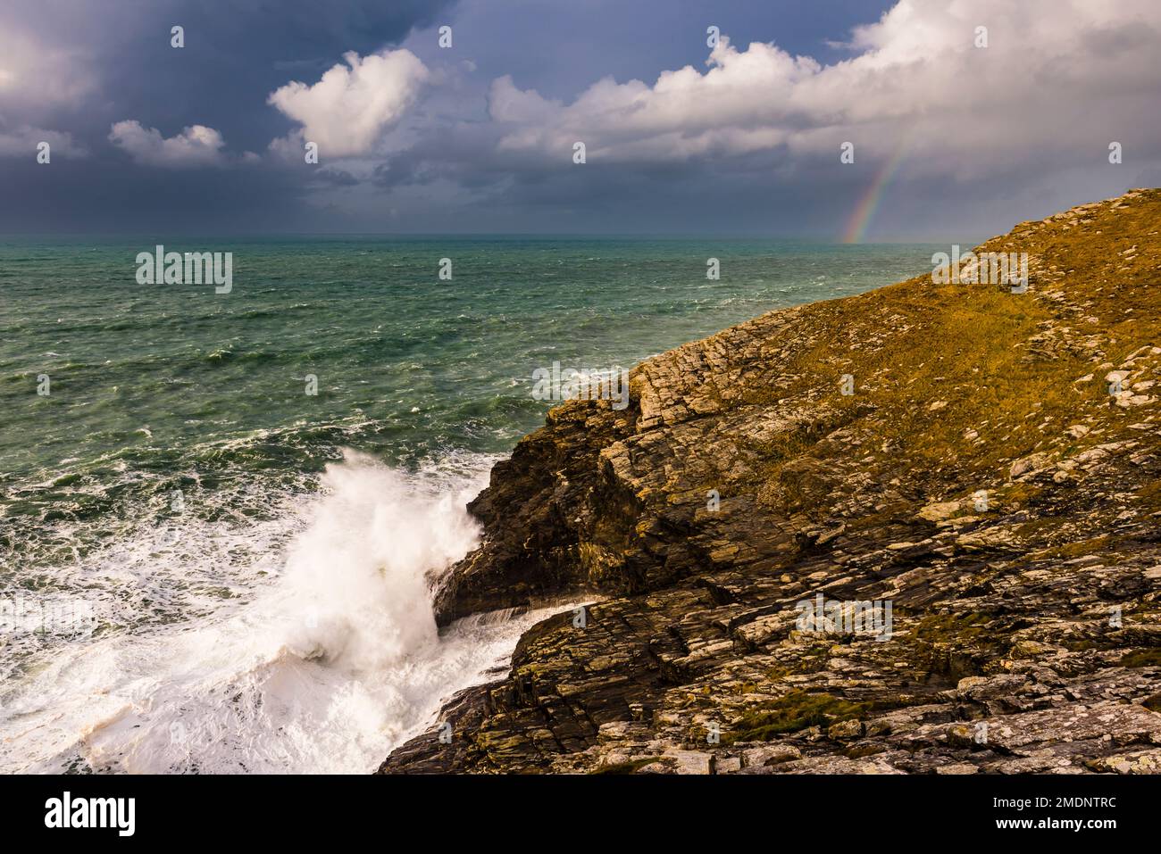 Penhallic point cornwall coast hi-res stock photography and images - Alamy