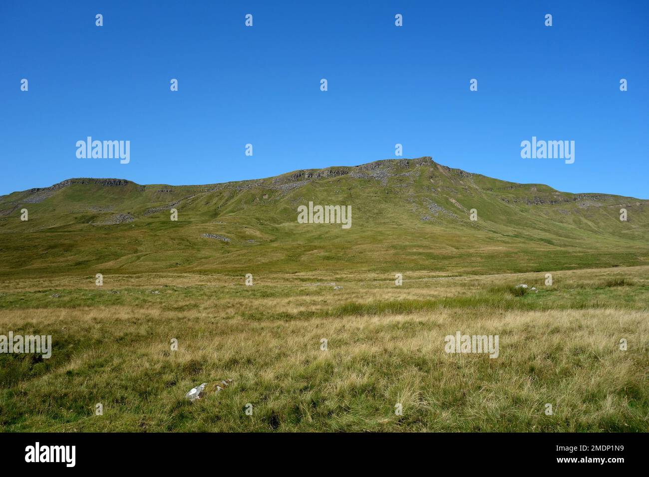 Yoadcomb scar hi-res stock photography and images - Alamy