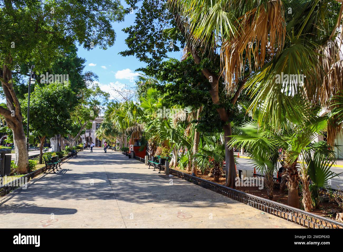 Beautiful Impressions of Yucatan in Mexico Stock Photo - Alamy