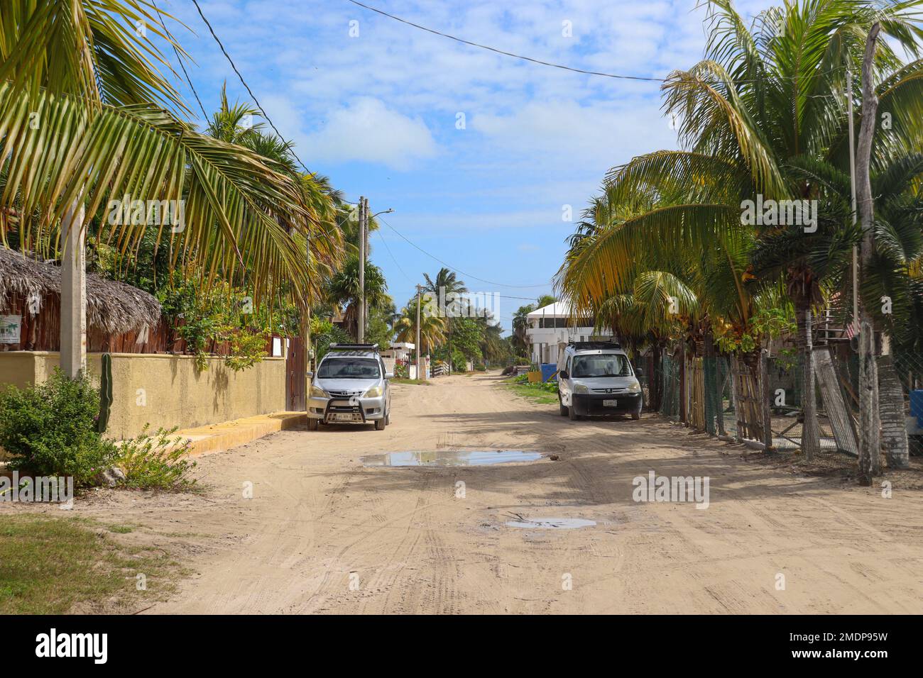 Yucatan countryside hi-res stock photography and images - Alamy
