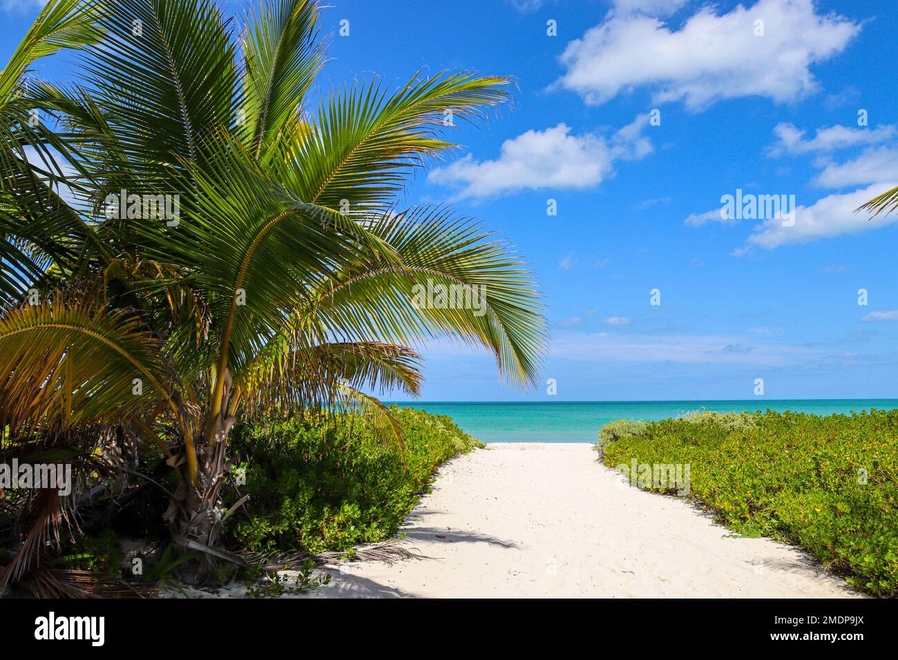 Beautiful Impressions of Yucatan in Mexico Stock Photo - Alamy