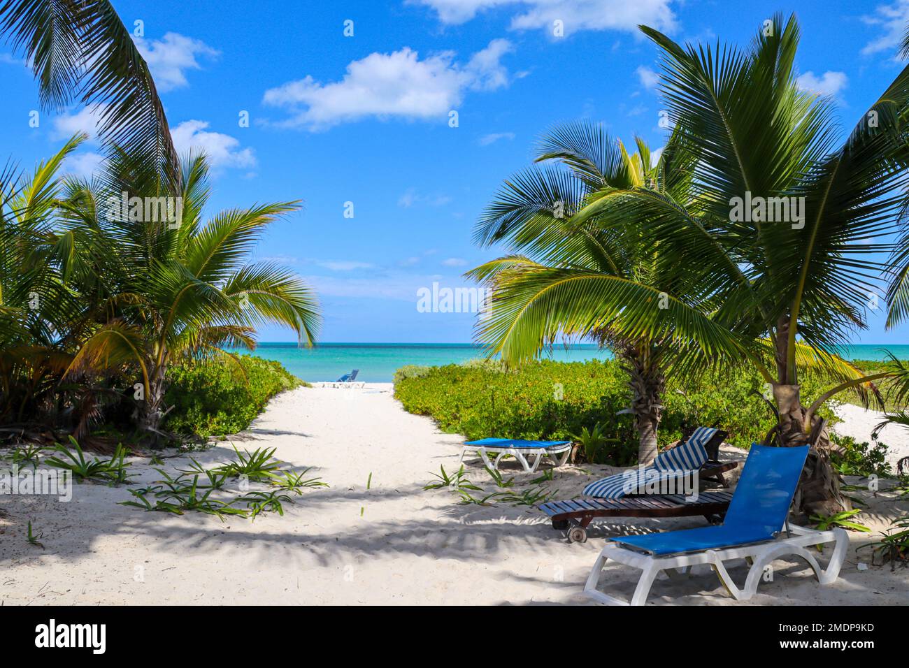 El cuyo yucatan hi-res stock photography and images - Alamy