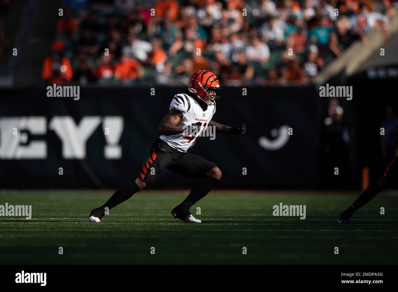 Cincinnati Bengals safety Trayvon Henderson (41) drops back into ...
