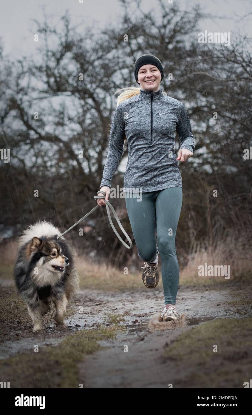 Portrait of Finnish Lapphund dog and woman or girl running outdoors in ...