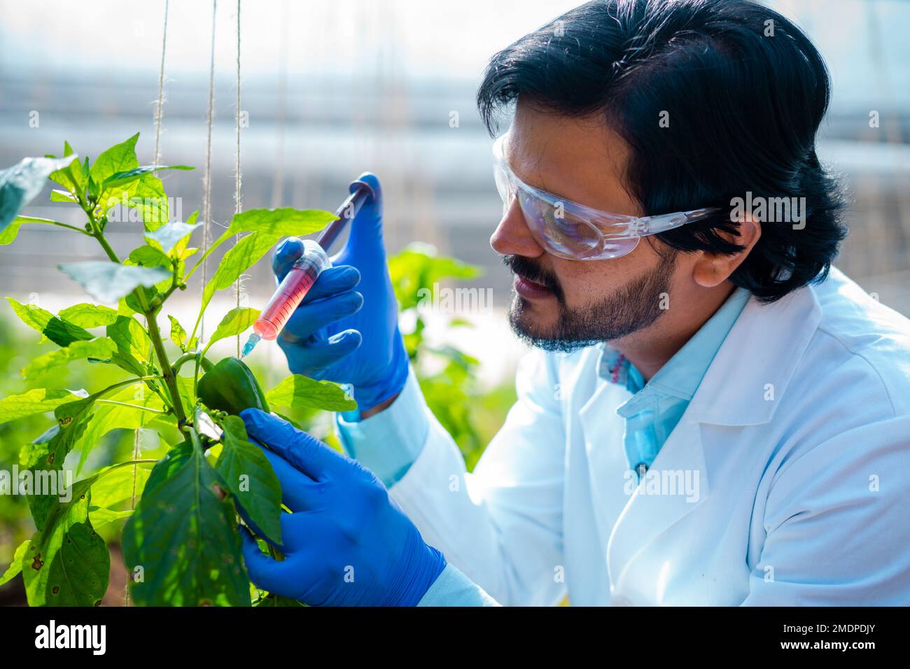 Food scientist laboratory india hi-res stock photography and images - Alamy
