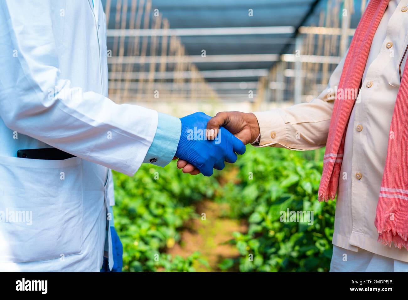 Close up shto of agro scientist greeting by shaking hands to Indian ...