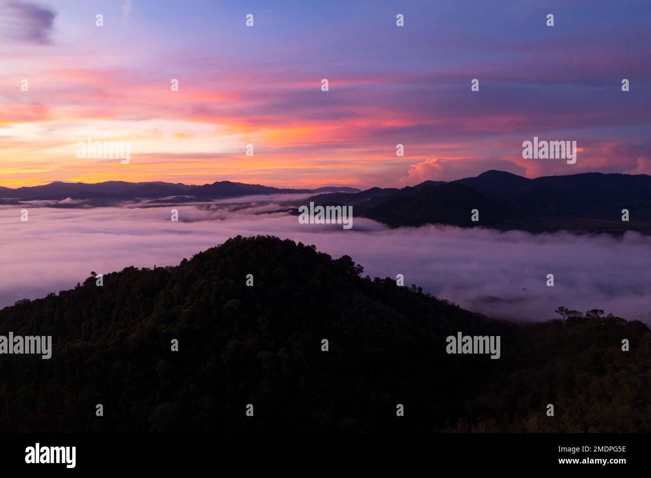 Tropical Rainforest Sunset Background