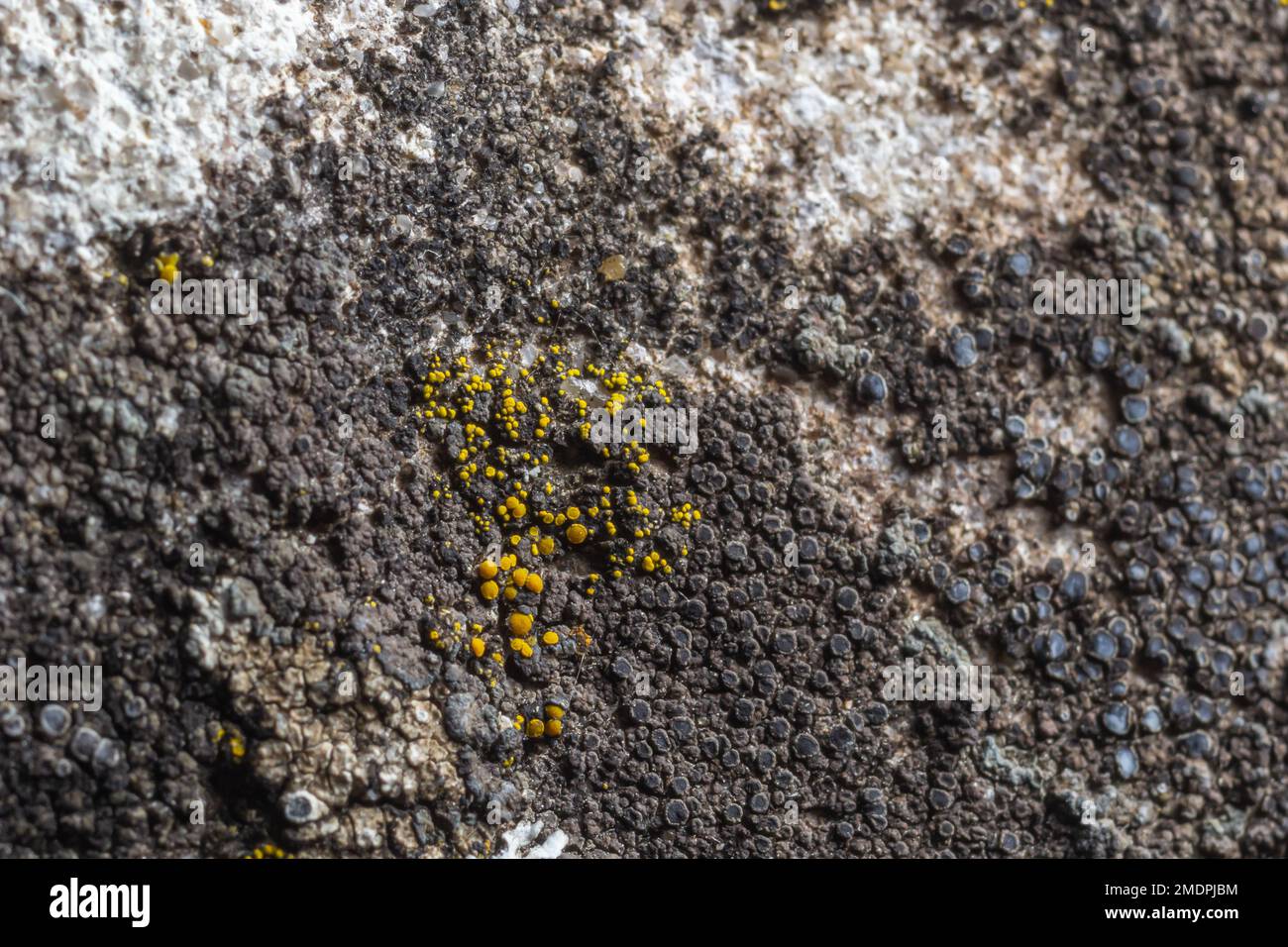 Flaky mineral rock hi-res stock photography and images - Alamy